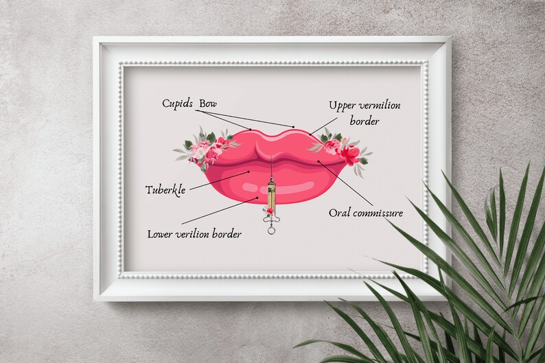 Lip Anatomy Poster for Beauty Salon and Medical Spa. Esthetician Decor ...