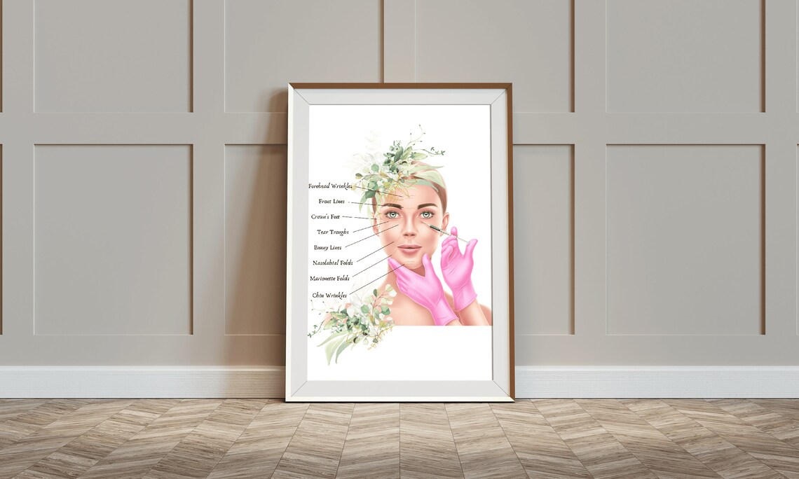 Anatomy of Facial Aging Poster for Beauty Salon and Medical Spa ...