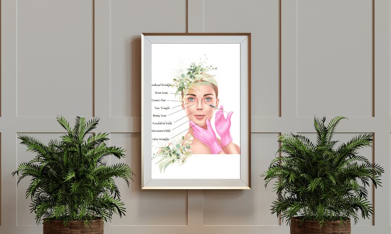 Anatomy of Facial Aging Poster for Beauty Salon and Medical - Etsy