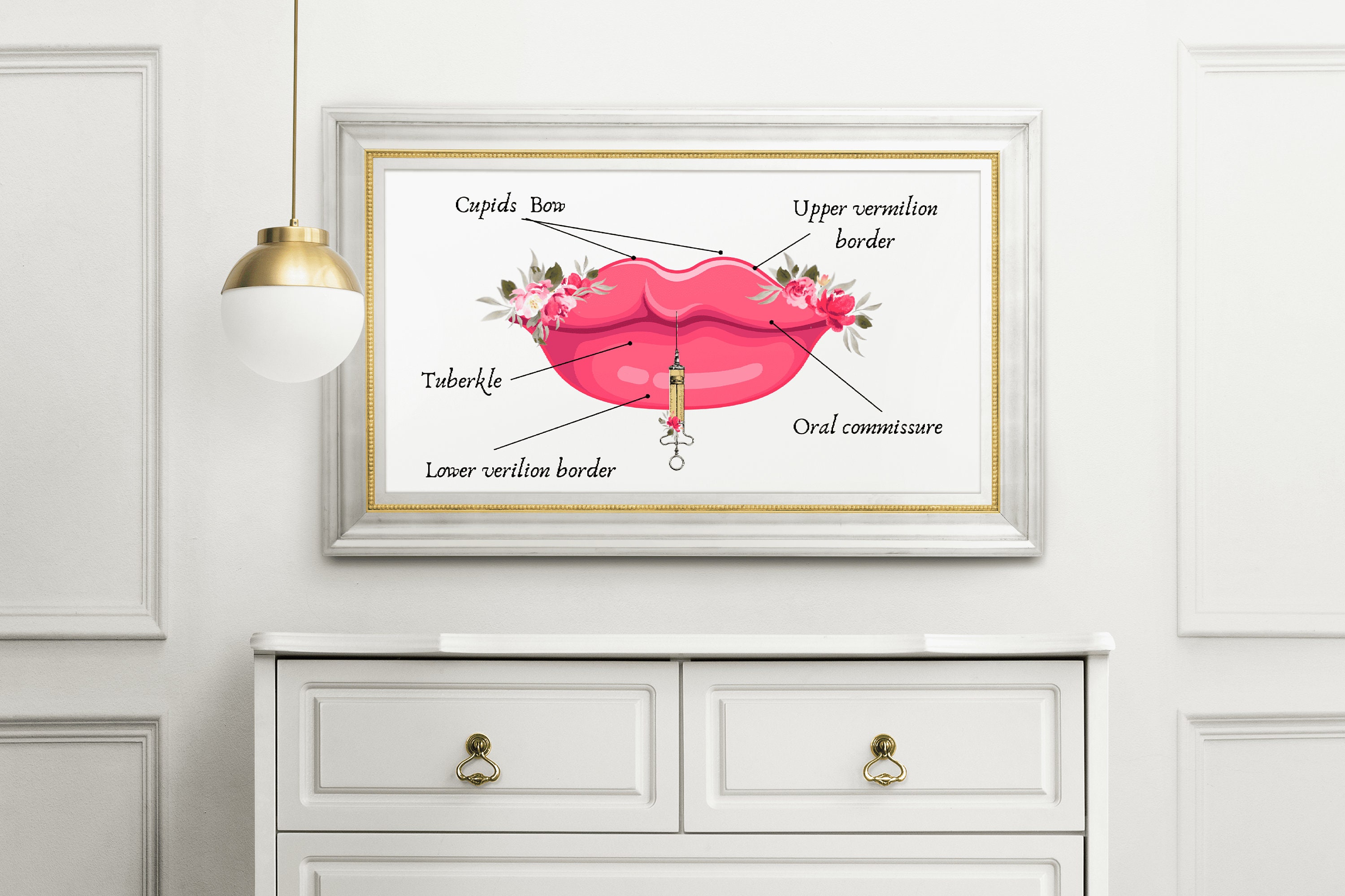 Lip Anatomy Poster For Beauty Salon And Medical Spa Esthetician Decor Plastic Surgeon T