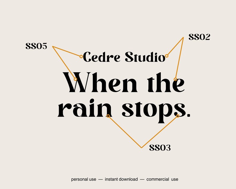 Oiseau Font - Fonts, Serif, Classy, Procreate, Magazine, Stylish ...