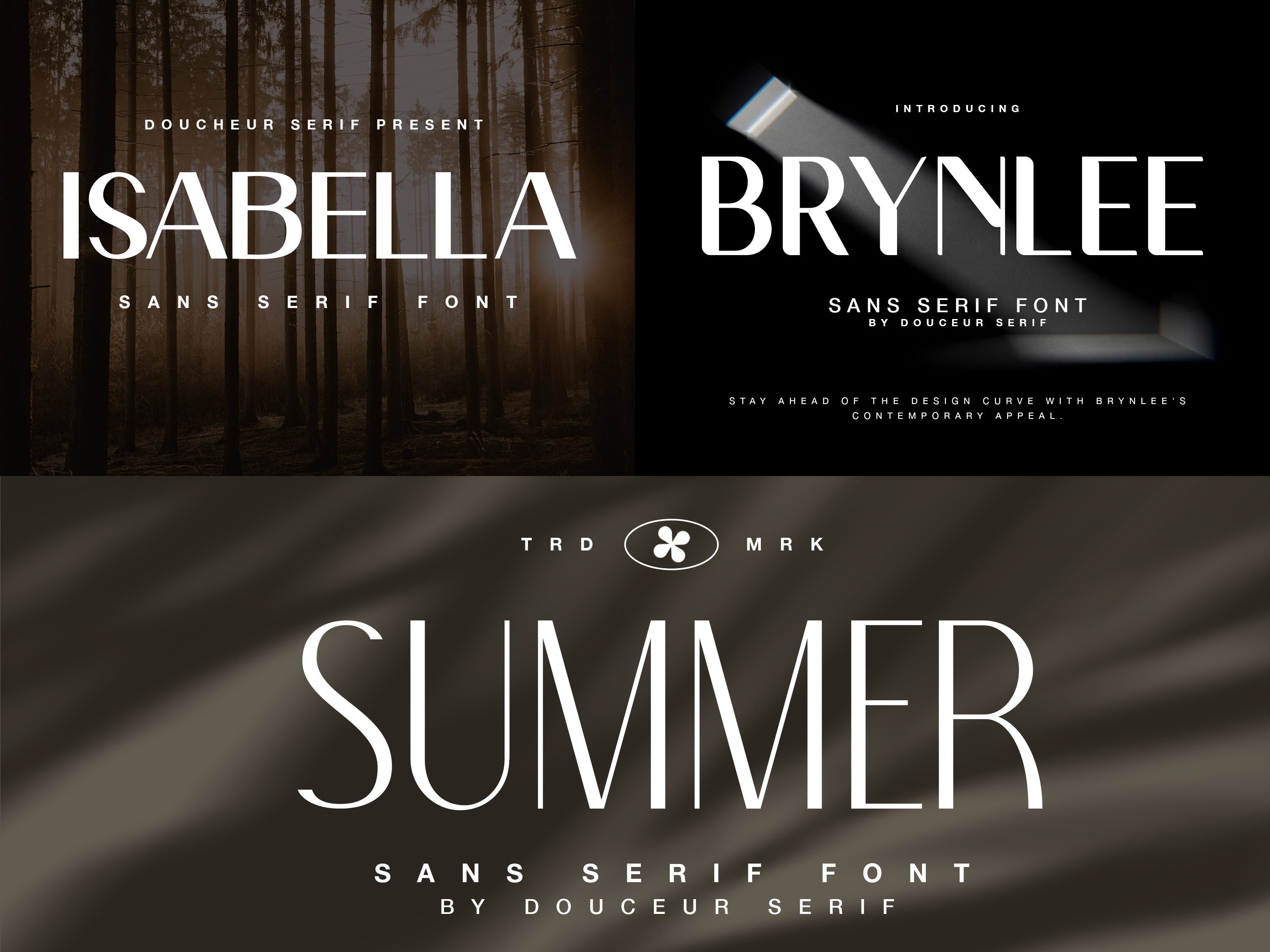 Modern Sans Serif Font Bundle, Sans Serif Fonts, Luxury Fonts, Branding ...