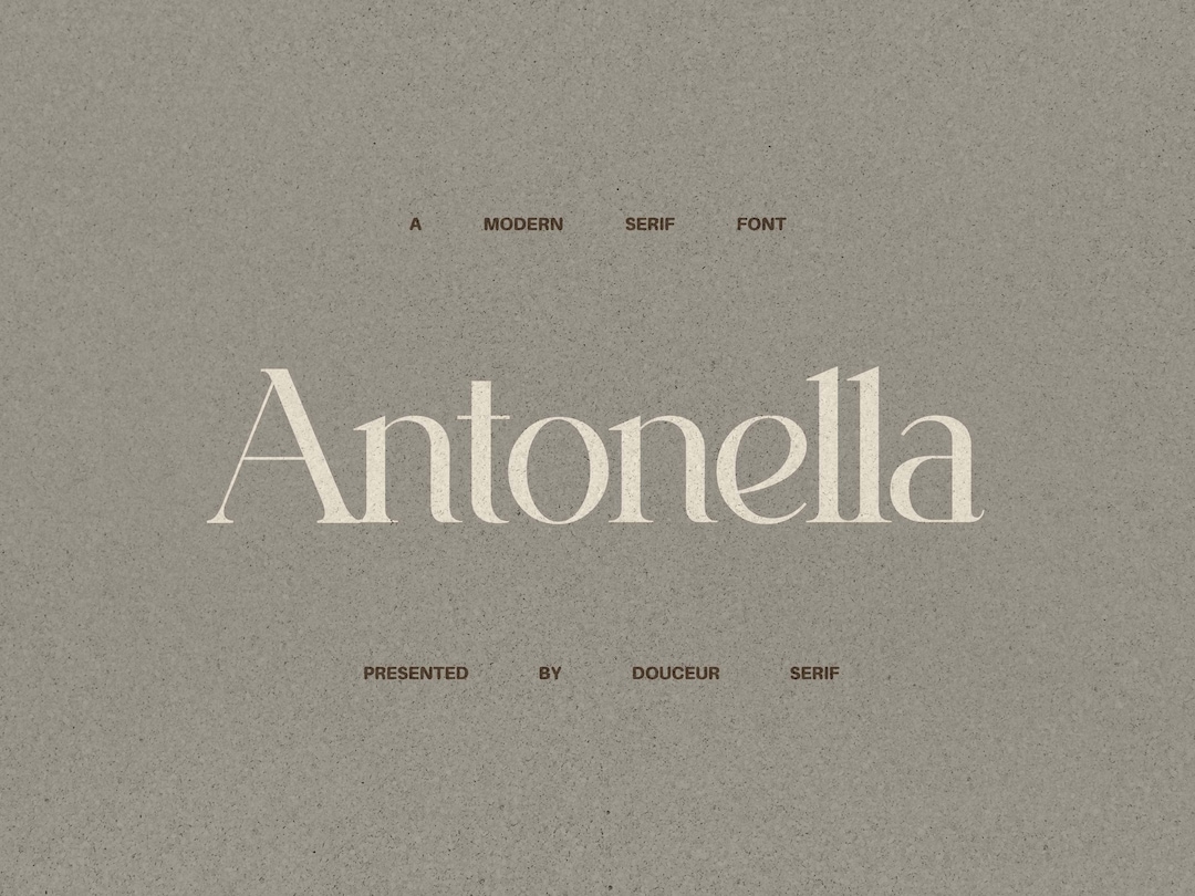 Antonella Font – Modern Serif Typeface, Branding, Elegant, Ligatures, Boho, Stylish ...