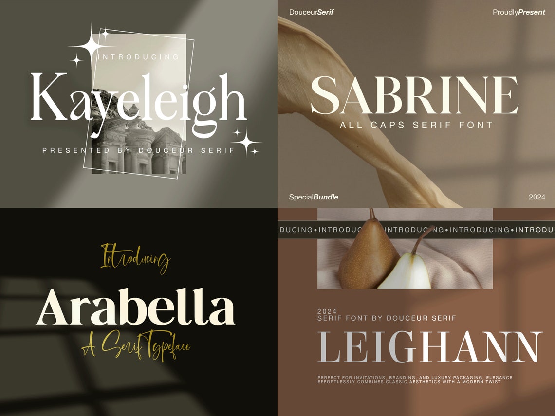Modern Serif Font Bundle, Logo Fonts, Wedding Fonts, Luxe Fonts ...