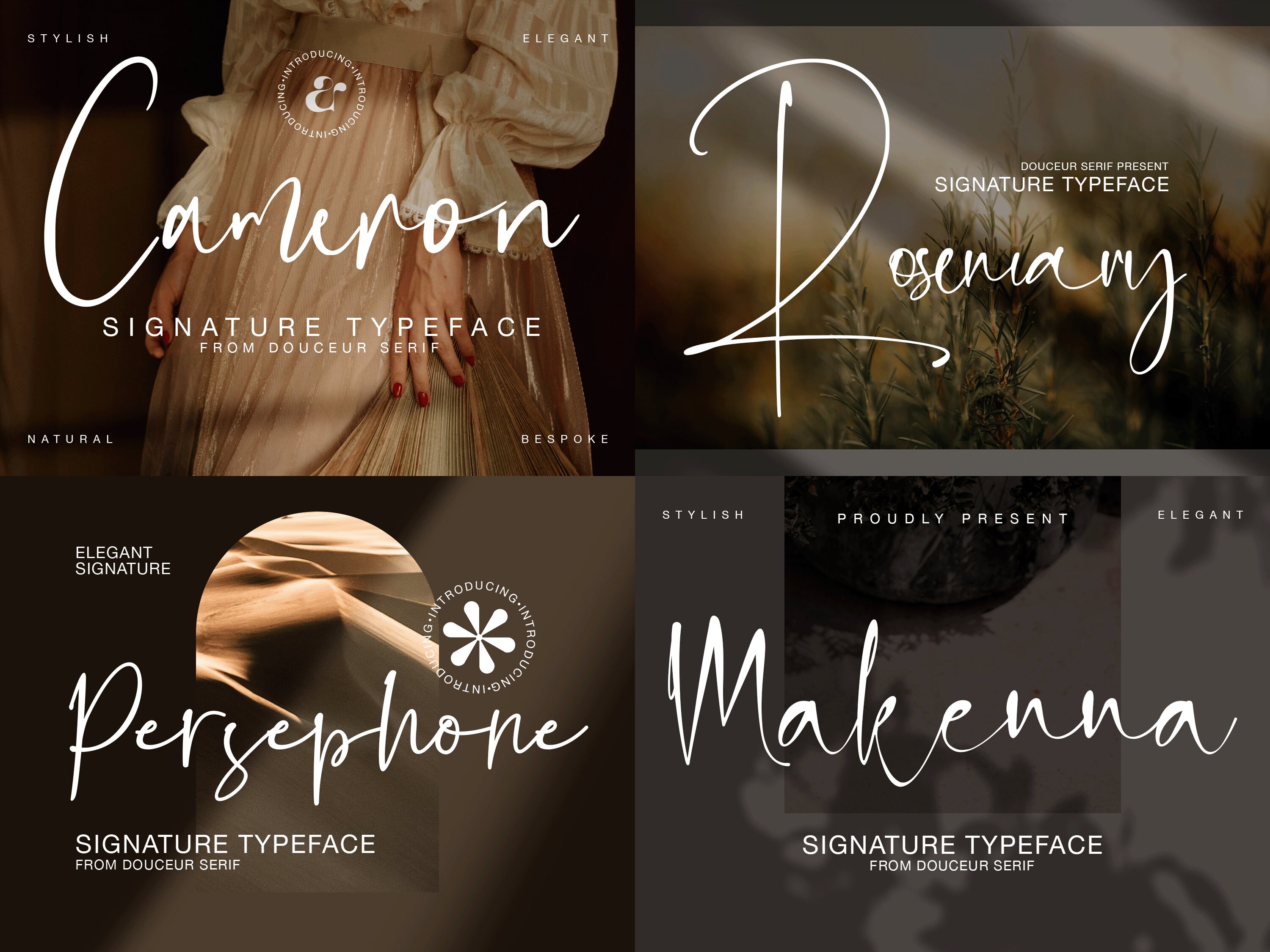 Signature Font Bundle, Calligraphy Font, Logo Fonts, Wedding Fonts, Circuit Fonts, Procreate ...