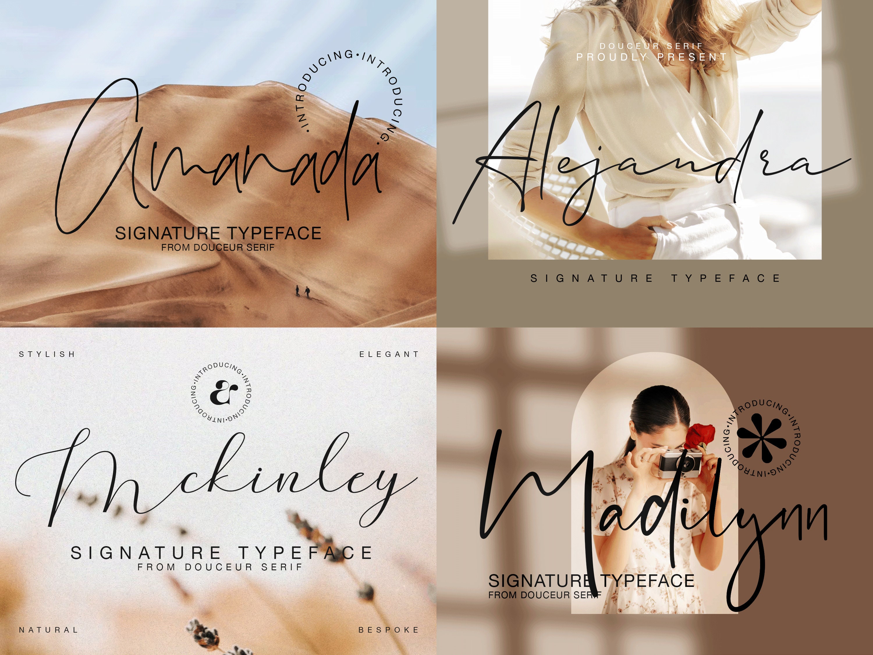Signature Font Bundle, Calligraphy Font, Logo Fonts, Wedding Fonts ...