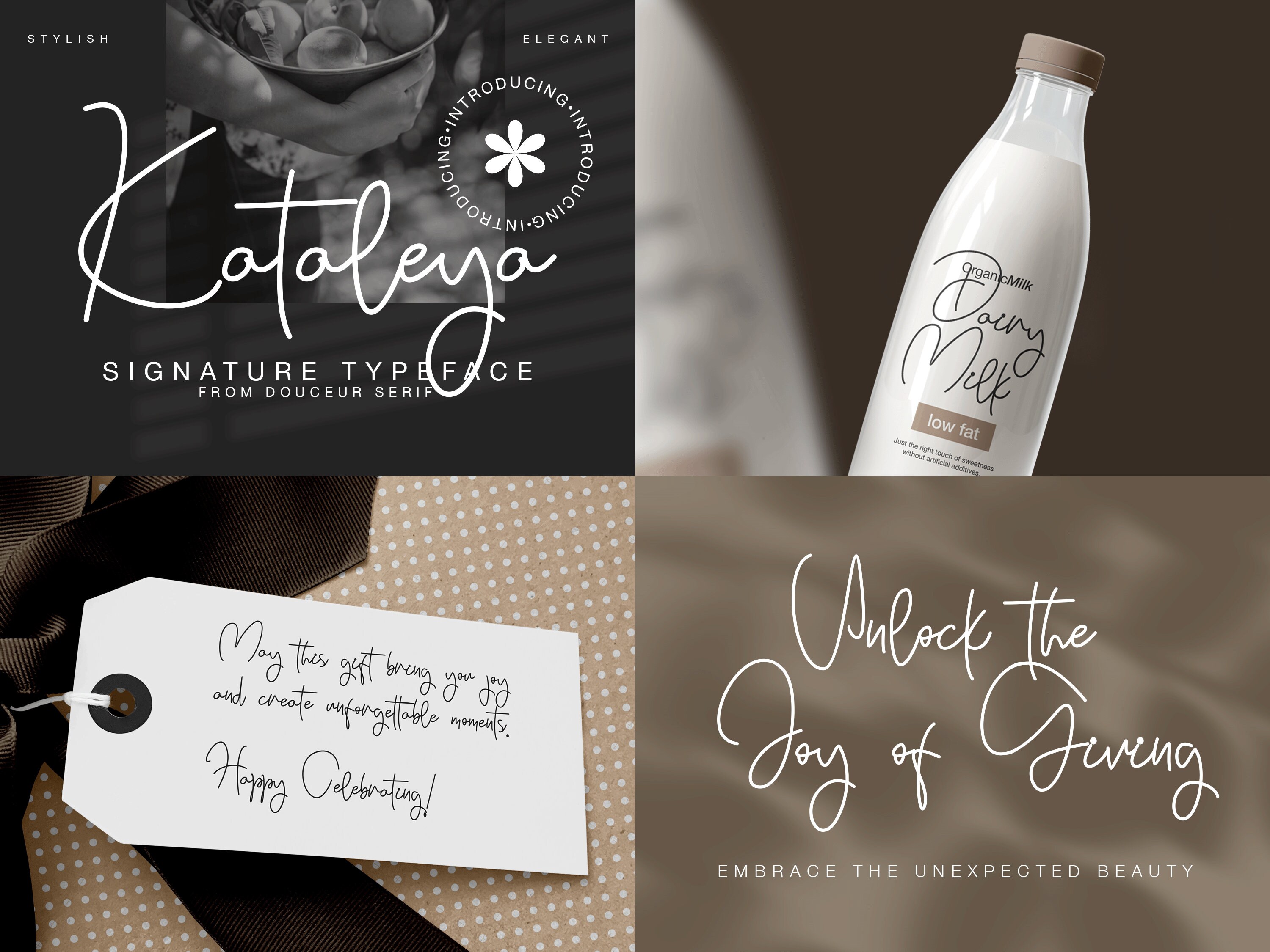 Signature Font Bundle, Calligraphy Font, Logo Fonts, Wedding Fonts ...