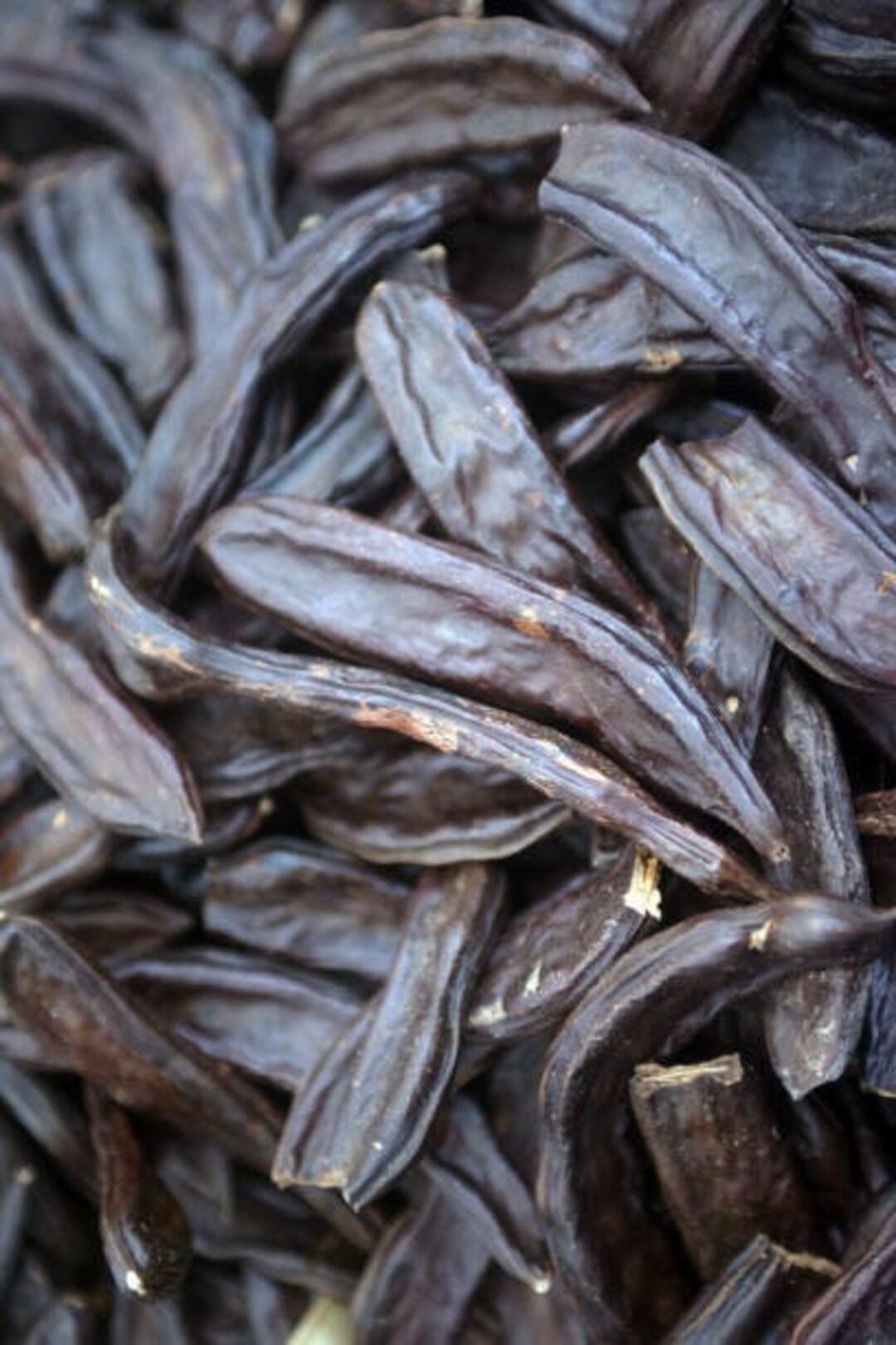 Organic Carob. Vitamin Store. Healthy Snack. Flavor Store Greek Horn ...