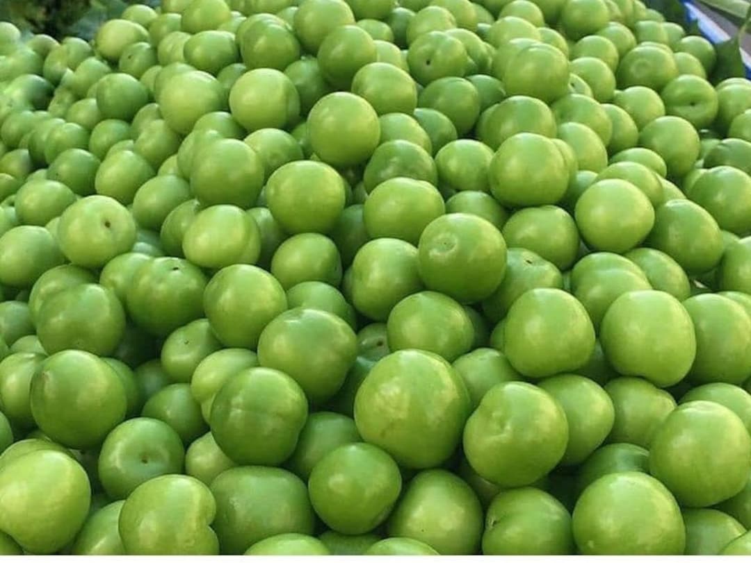 Natural Green Plum, Fresh Sour Plum, Fresh Sour Fruit, Organic Plum ...