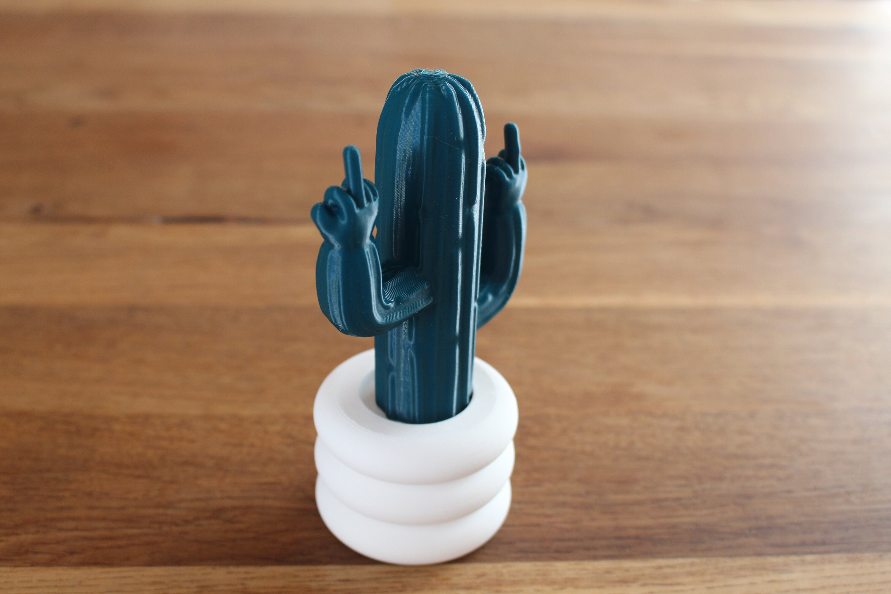 Bad Cactus/ Middle Finger/ Stinky Finger/ Funny Decoration - Etsy