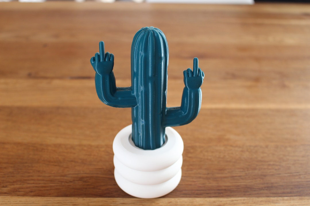 Bad Cactus/ Middle Finger/ Stinky Finger/ Funny Decoration - Etsy