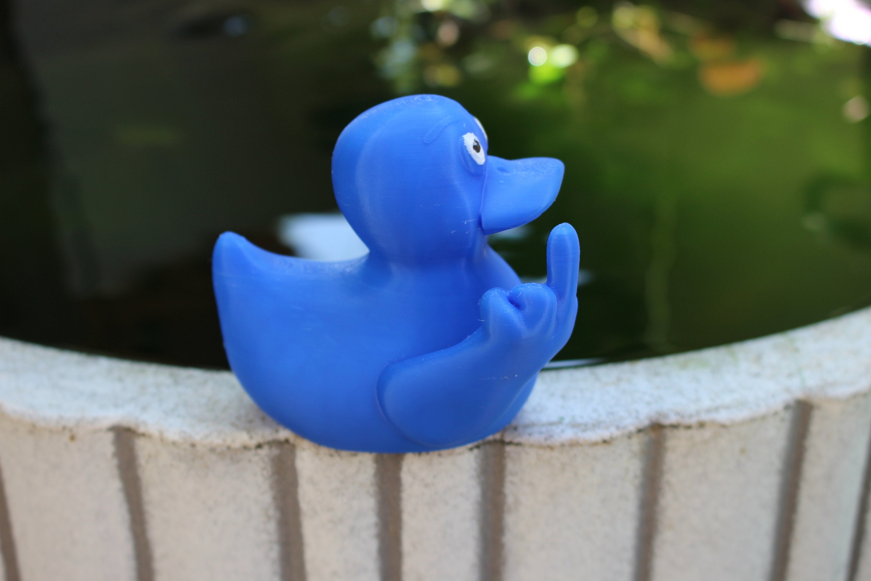 Evil Duck Shows Middle Finger, Rubber Duck, Bath Duck, Bathroom ...