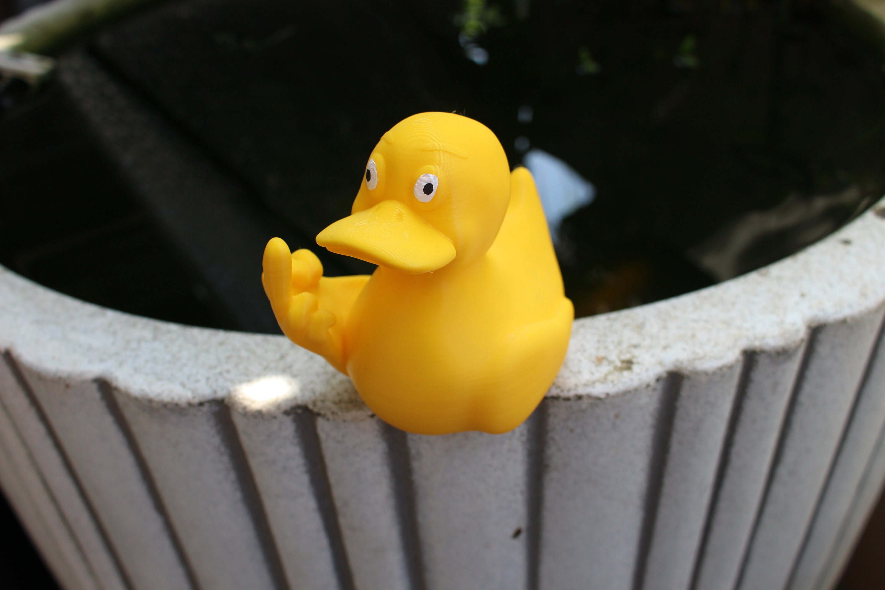 Bad Duck Shows Middle Finger, Rubber Duck, Rubber Duck, Bathroom ...