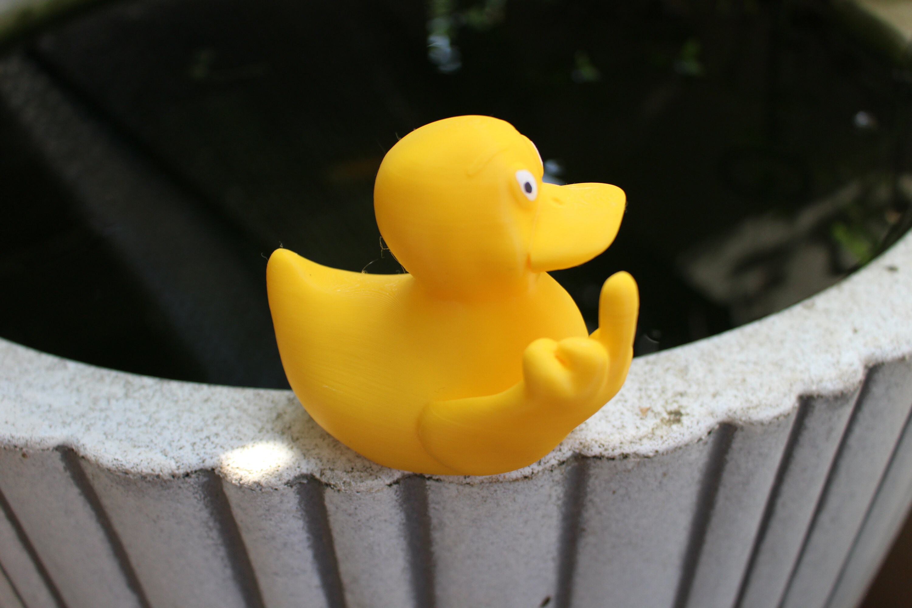 Bad Duck Shows Middle Finger, Rubber Duck, Rubber Duck, Bathroom ...