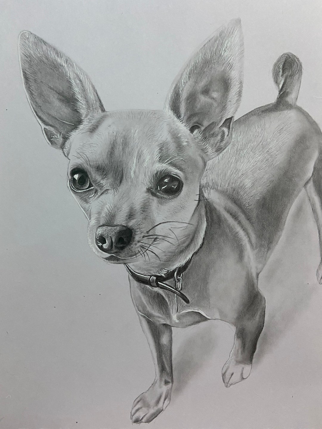 Detailed Pet Portraits/drawings/sketches - Etsy