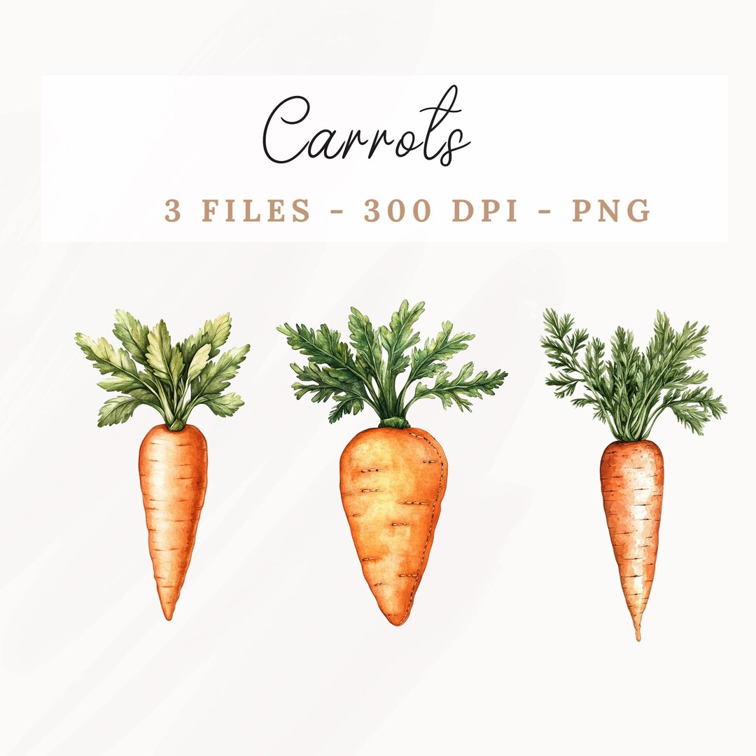 Orange Carrot PNG Bundle, Easter Carrot Png , Easter Bunny Carrot ...