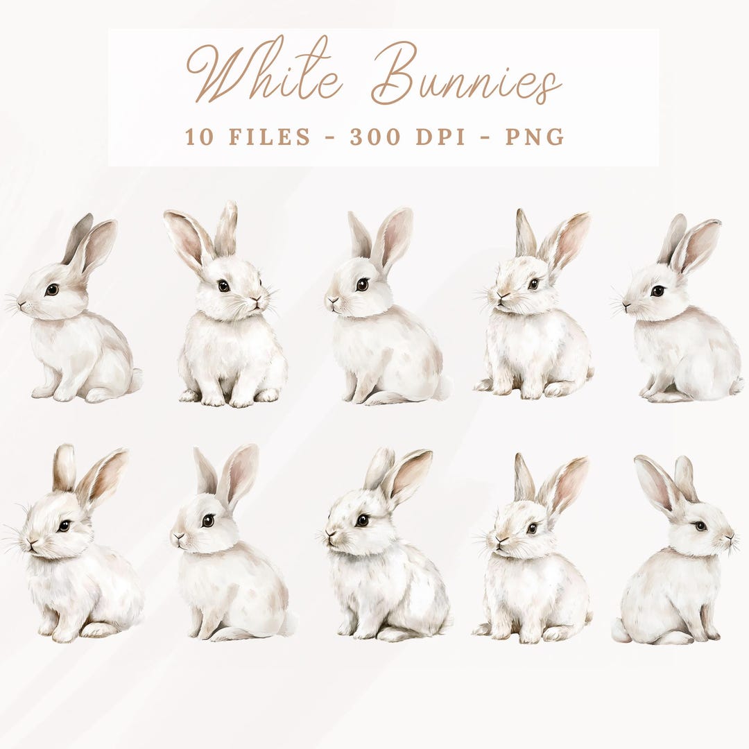 White Rabbits Png Bundle, White Bunny Png, Cute Bunnies, Watercolour ...