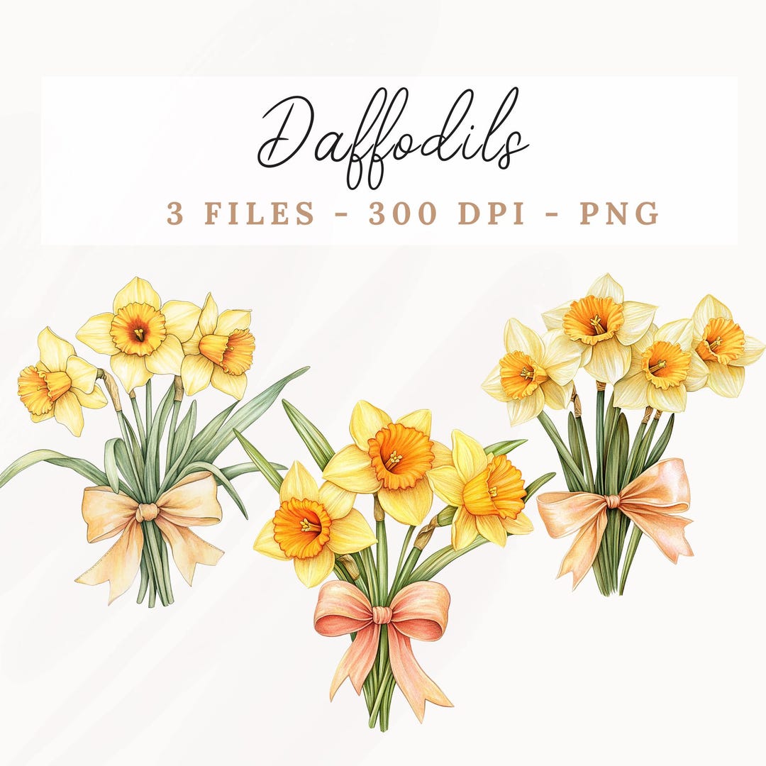 Daffodil Clipart Png Bundle, Spring Flowers Png, Watercolor Daffodil ...