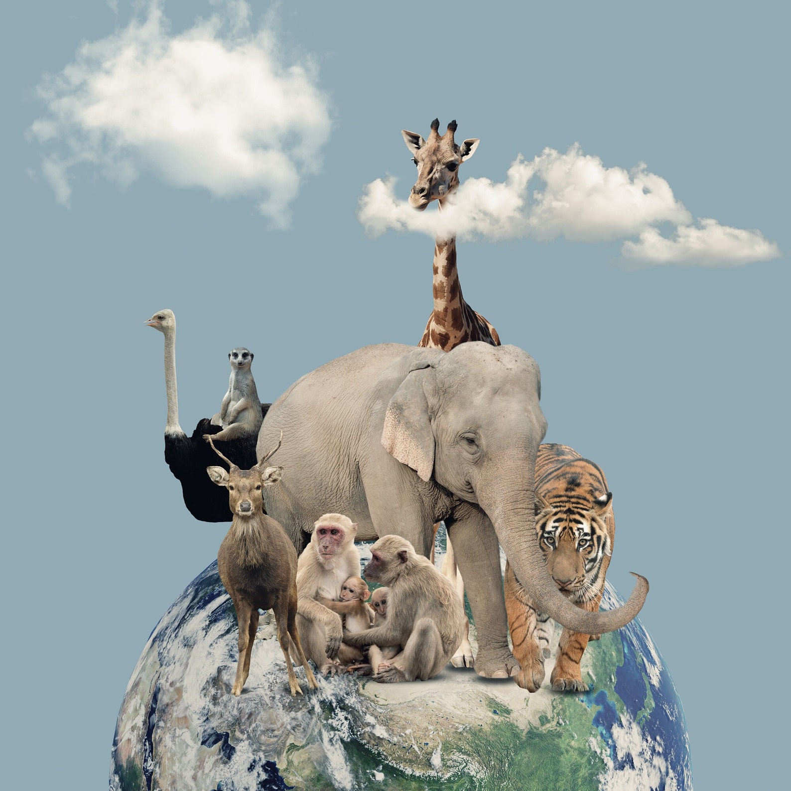 Surreal Art, Whimsical Art Digital Download. - Etsy