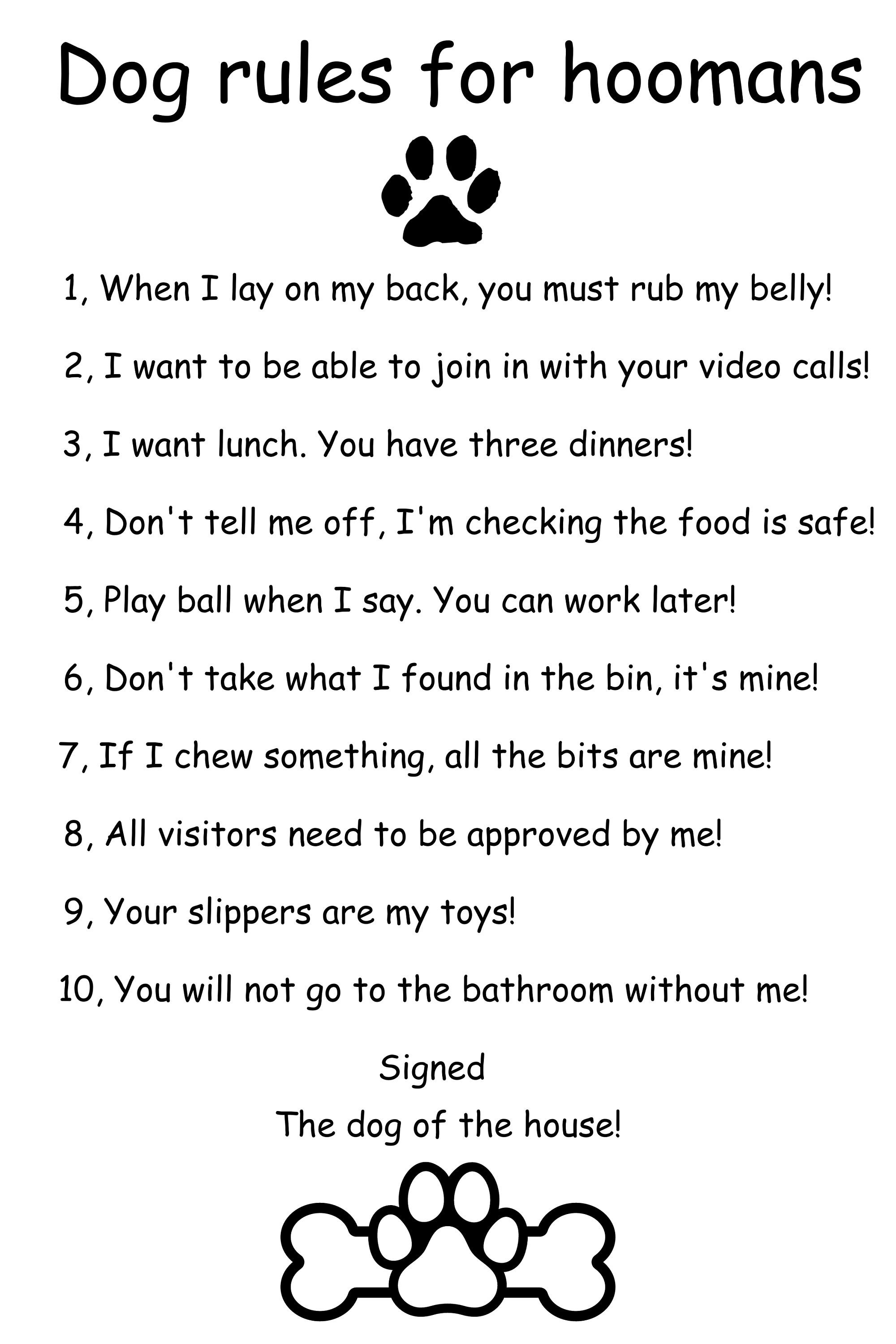 Dog Rules. Instant Download, Funny Dog - Etsy