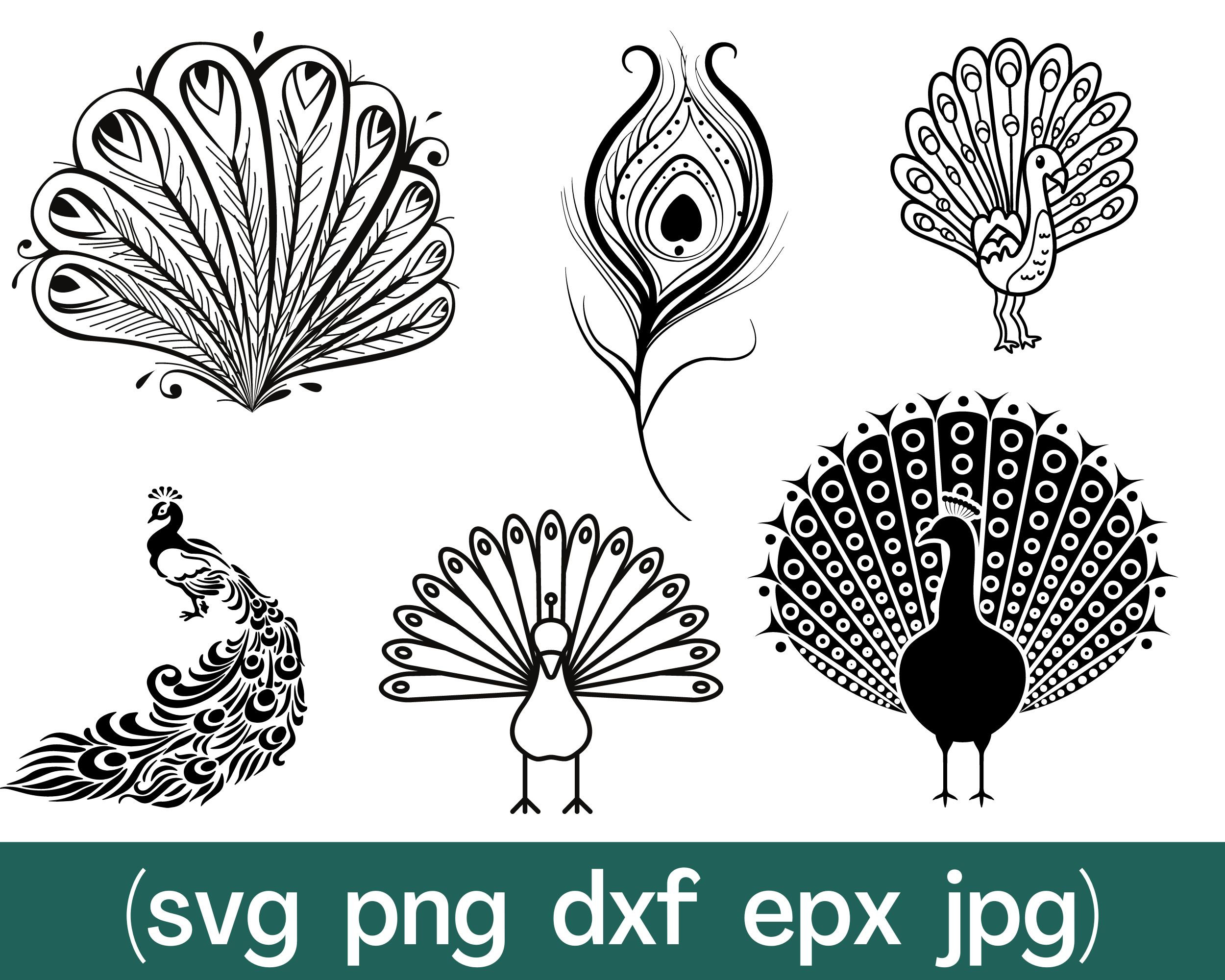 Peacock Svg, Peacock Stencil, Peacock Png, Peacock Decal, Peacock Art, Peacock Feather Svg, Svg ...