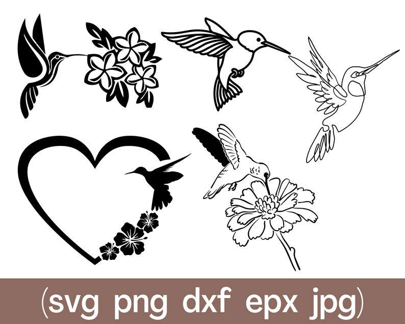 Hummingbird Svg, Hummingbird Clipart, Hummingbird Png, Hummingbird ...