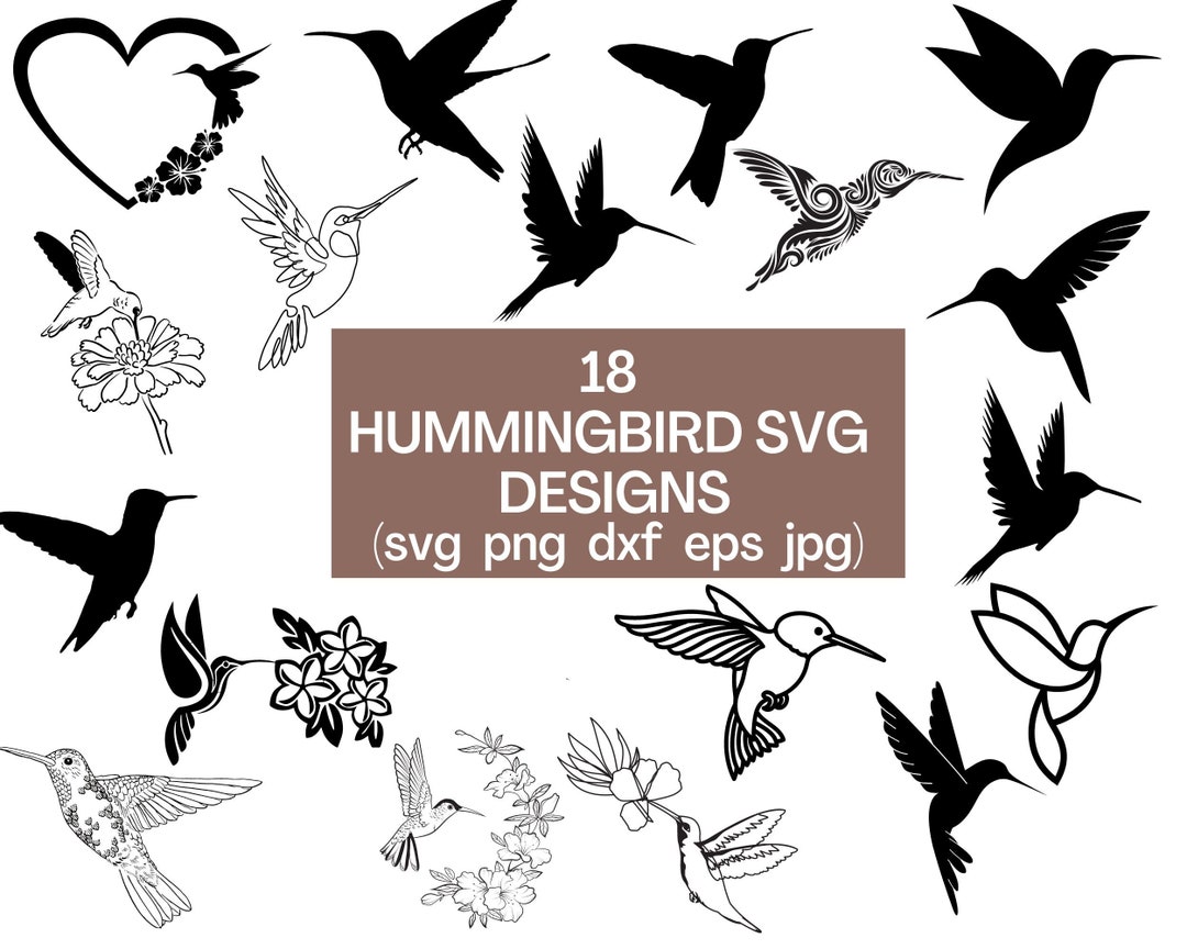 Hummingbird Svg, Hummingbird Clipart, Hummingbird Png, Hummingbird ...