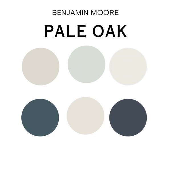 Pale Oak Palette - Etsy