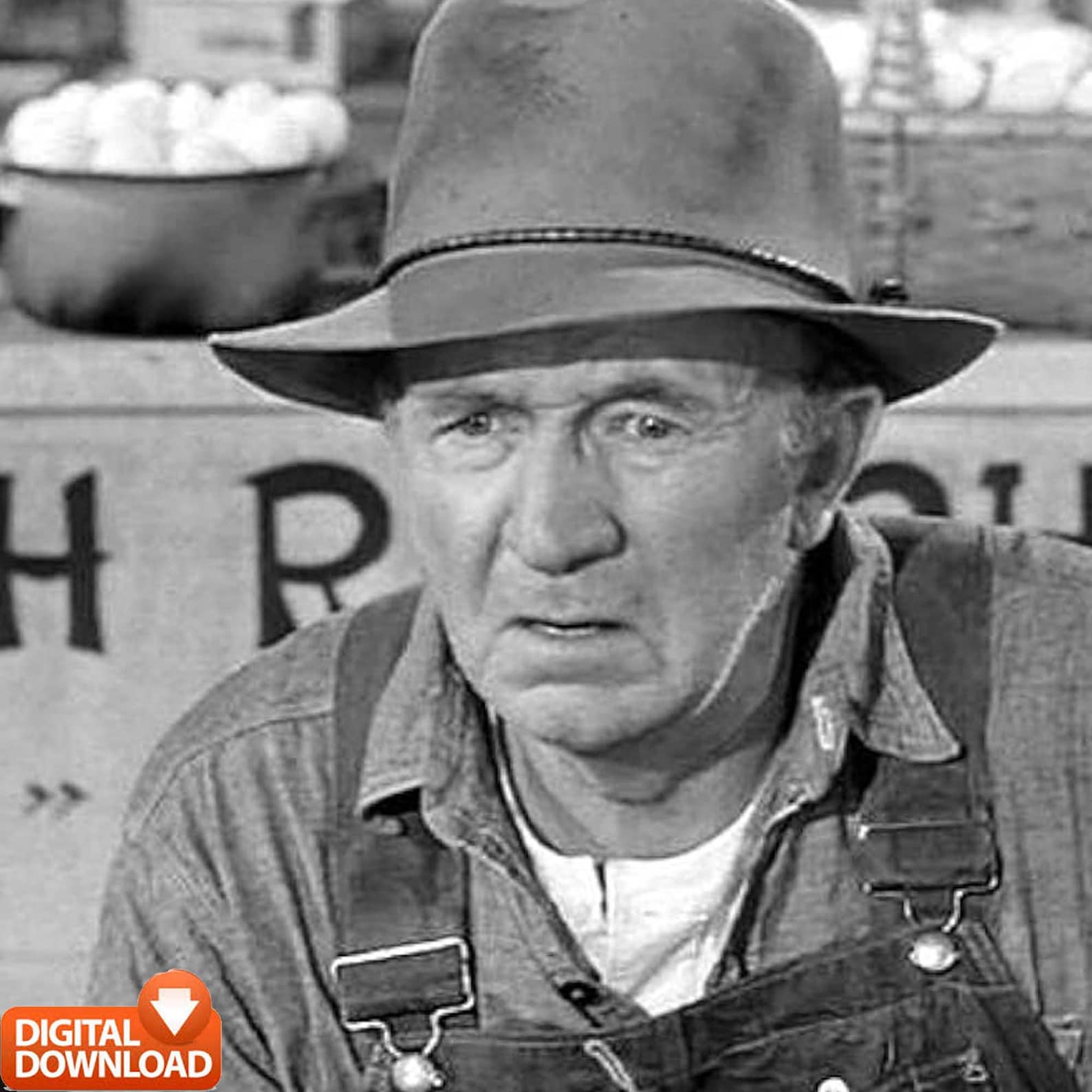 The Real Mccoys 1957 Tv Show Full Episodes All 6 Seasons Digital ...