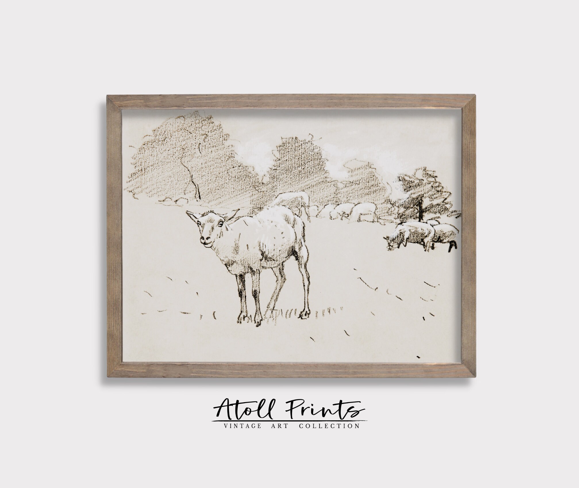 Vintage Minimalist Sheep Sketch Rustic Farmhouse Kitchen Décor ...