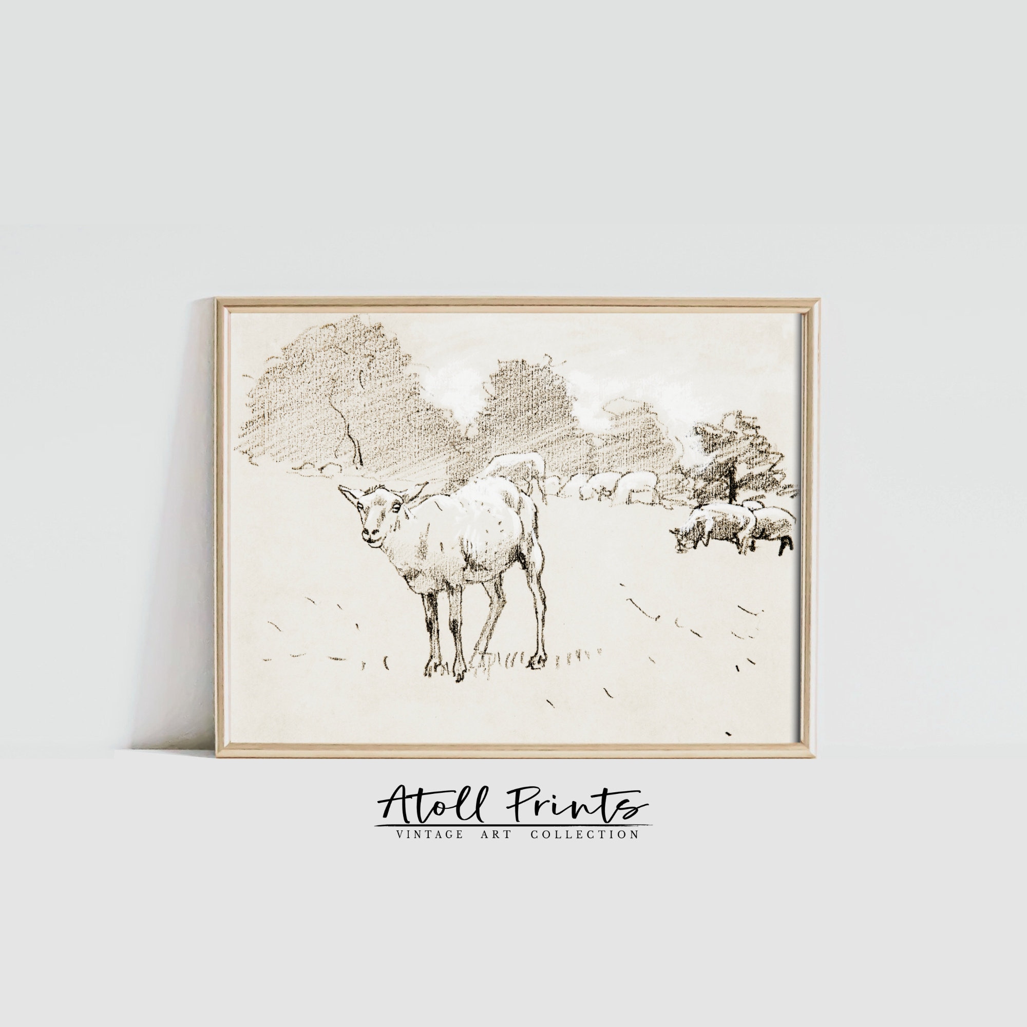 Vintage Minimalist Sheep Sketch Rustic Farmhouse Kitchen Décor ...