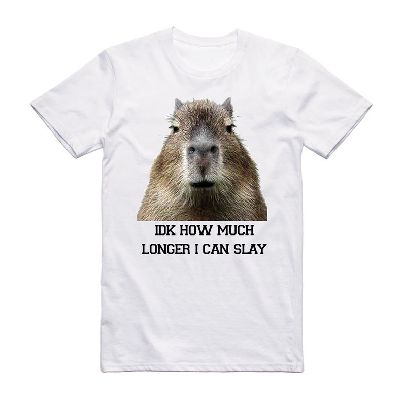 IDK How Much Longer I Can Slay Capybara Funny Tshirt, Funny, Trending ...