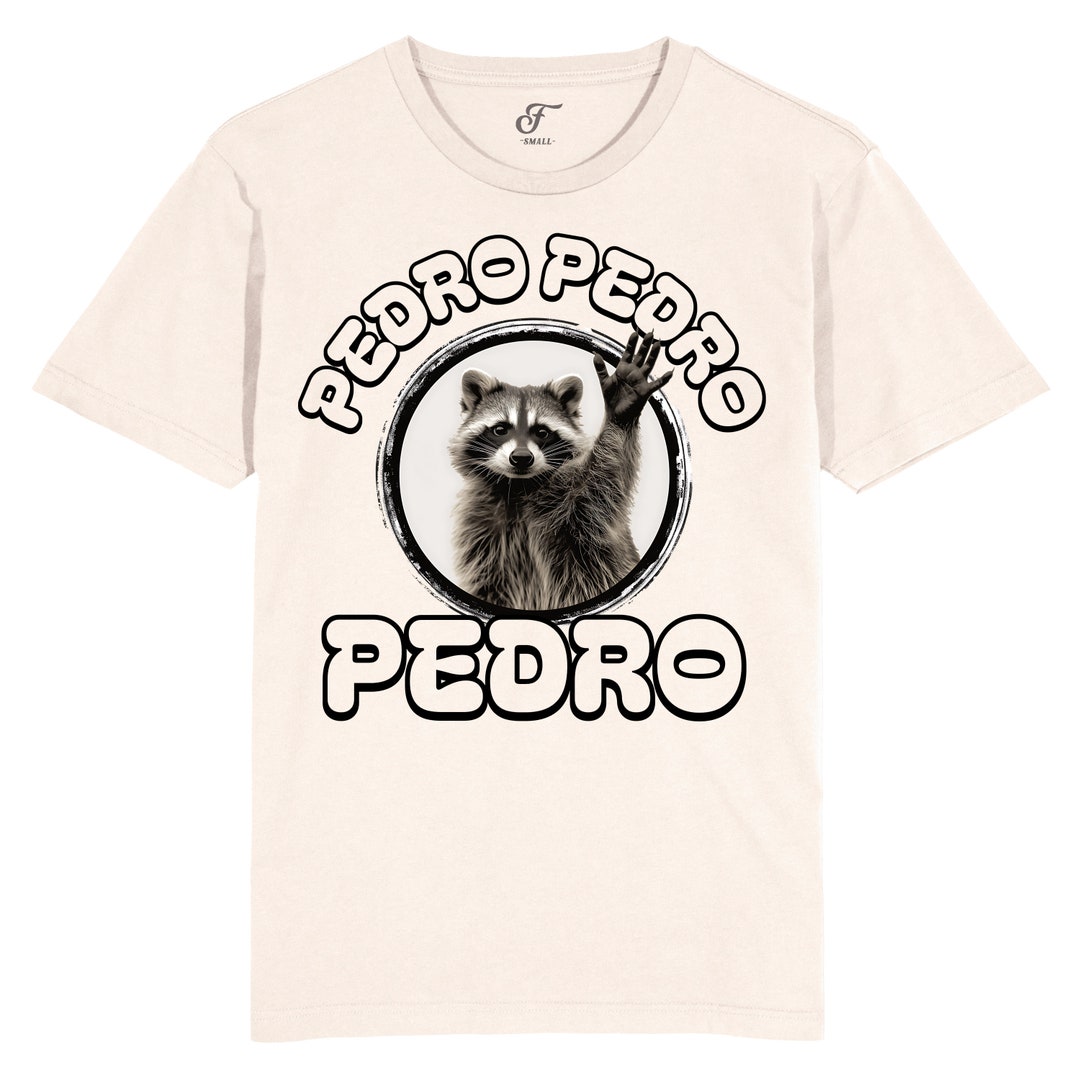 Meet Pedro the Dancing Raccoon, Tik Tok, Pedro Pedro Pedro T Shirt ...