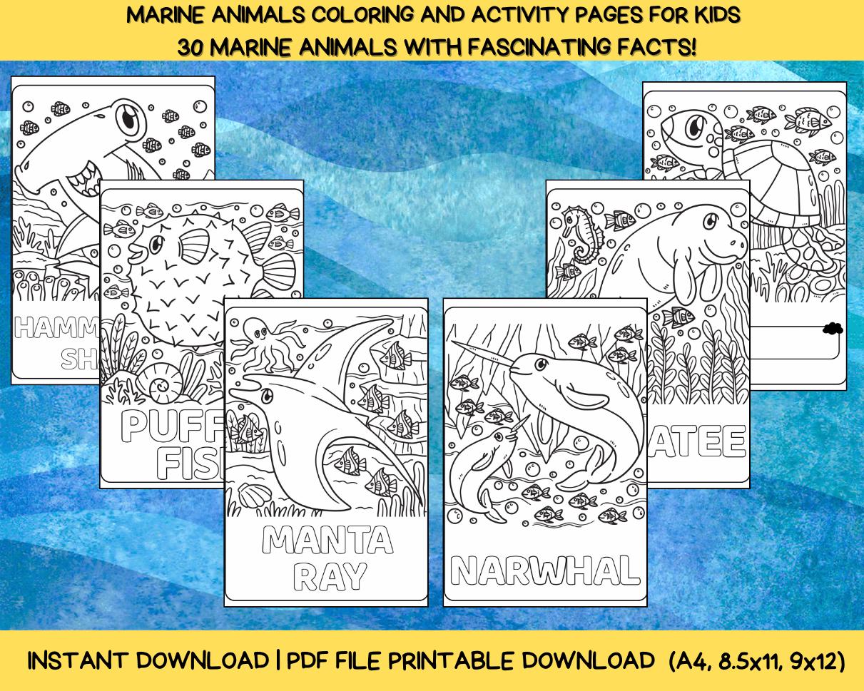 Kids Marine Animals Coloring Pages, Ocean Coloring Pages , Color Pages ...