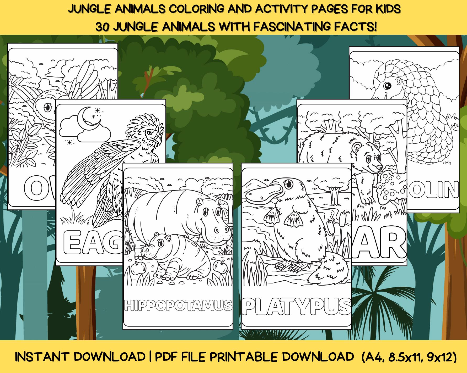 Kids Jungle Animals Coloring Pages, Safari Coloring Pages , Color Pages ...