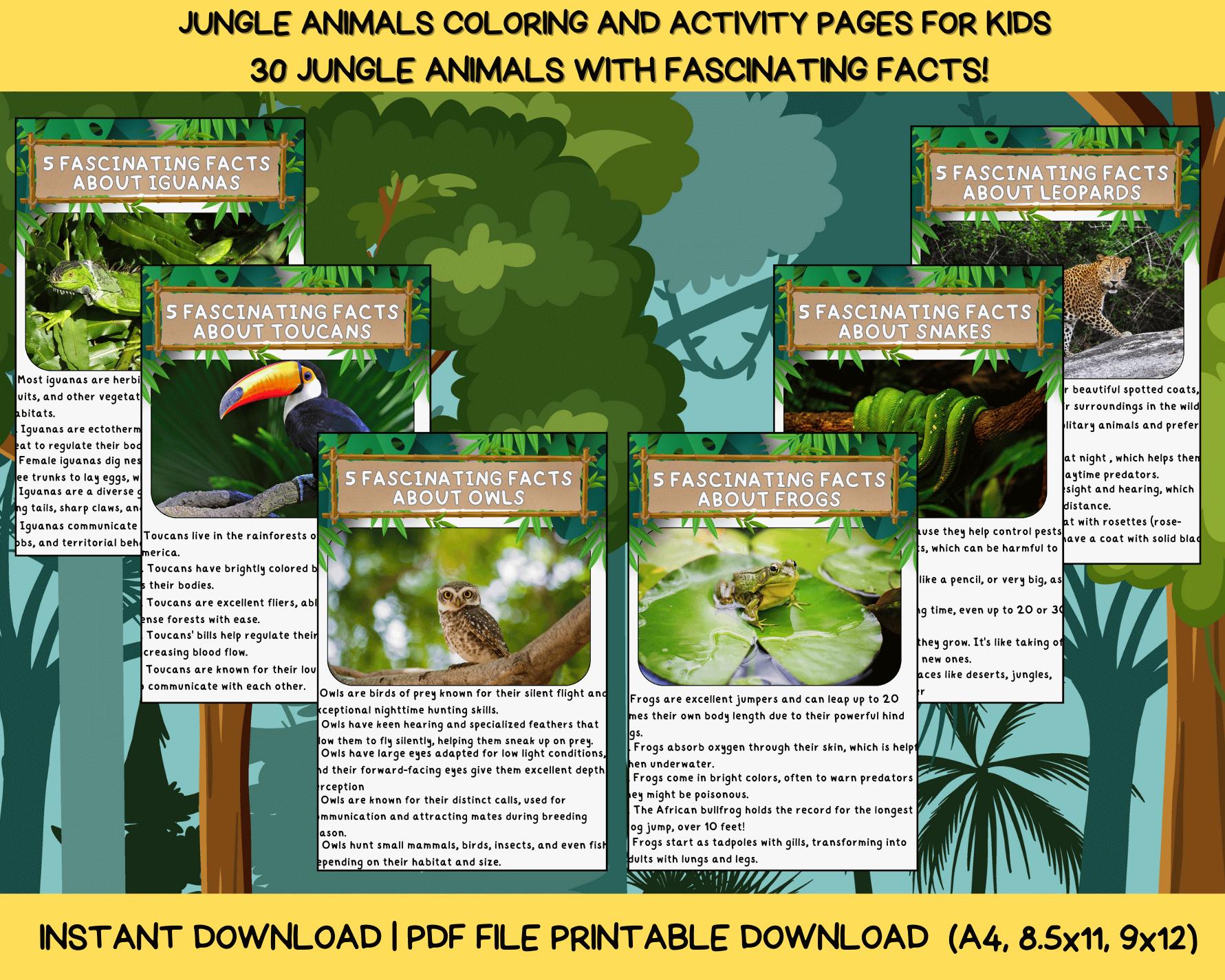 Kids Jungle Animals Coloring Pages, Safari Coloring Pages , Color Pages ...