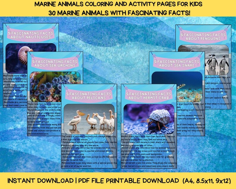 Kids Marine Animals Coloring Pages, Ocean Coloring Pages , Color Pages ...