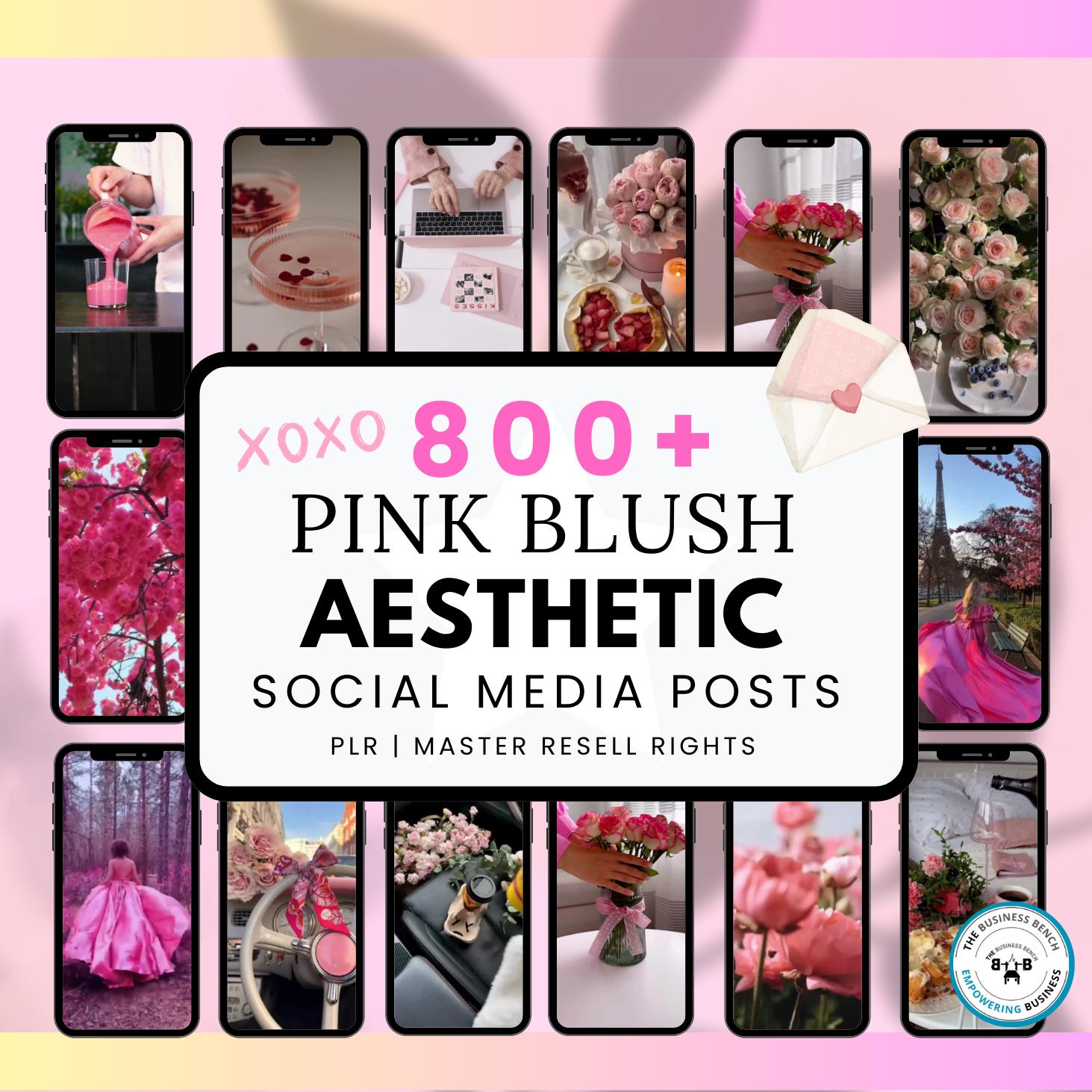 Pink Aesthetic Faceless Reels, Instragram Post, Social Media Videos ...