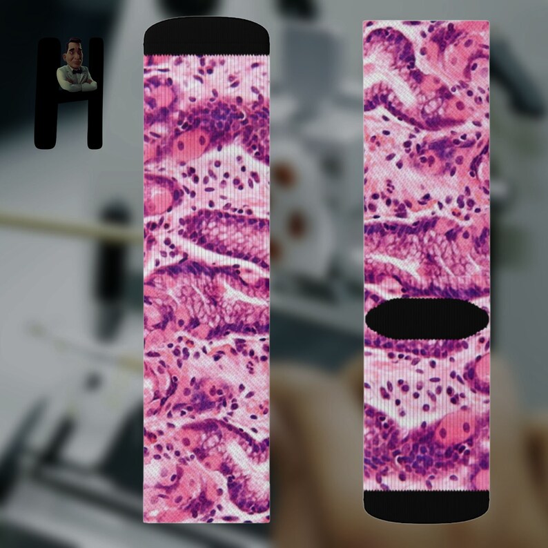 Histology H&E Art Socks, Pathology Socks, Gift for Histotech, Lab Week ...