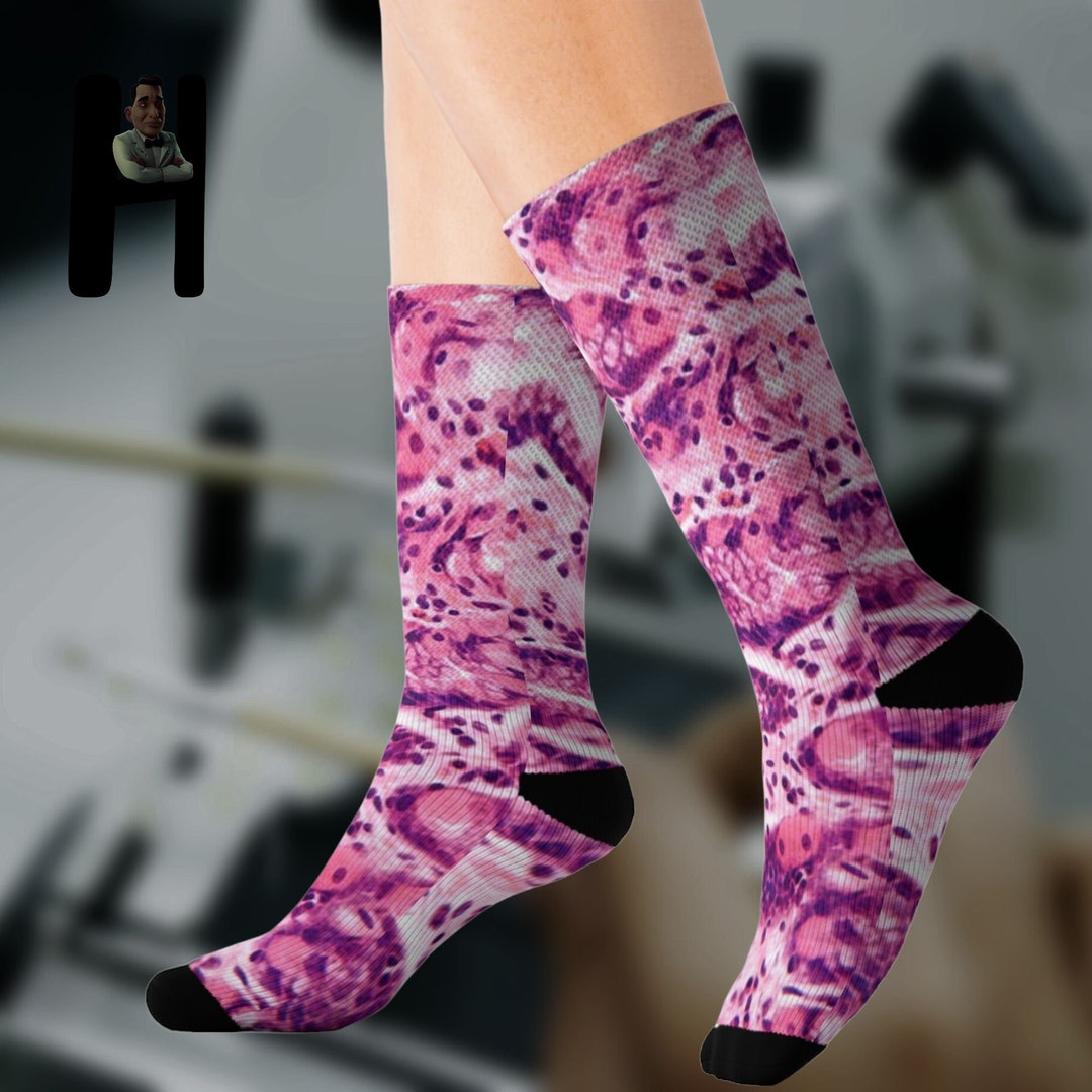 Histology Pathology Socks, H&E Art Socks, Gift for Histotech, Lab Week ...
