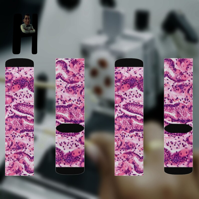 Histology Pathology Socks, H&E Art Socks, Gift for Histotech, Lab Week ...