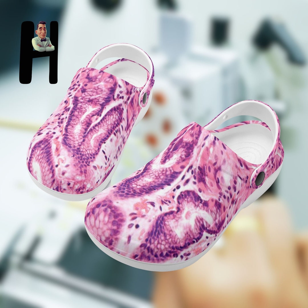 Histology Gift Slip on Clogs, Histotech Slides, Histo Tech Flip Flops ...