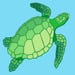 SEA TURTLE Fabric Collage PDF Pattern - Etsy