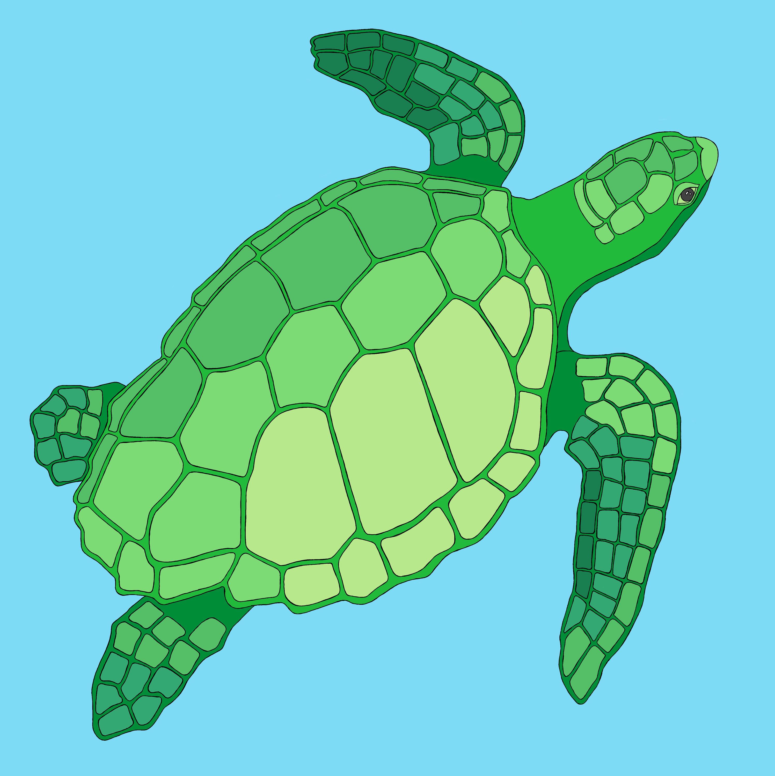 SEA TURTLE Fabric Collage PDF Pattern - Etsy