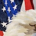 AMERICAN EAGLE Fabric Collage Pattern, Raw Edge Applique, Art Quilt - Etsy