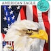 AMERICAN EAGLE Fabric Collage Pattern, Raw Edge Applique, Art Quilt - Etsy