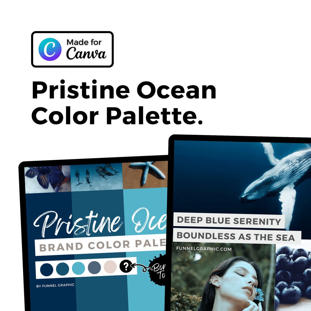 Ocean Color Palette: Canva Editable Brand Kit (digital Download) - Etsy