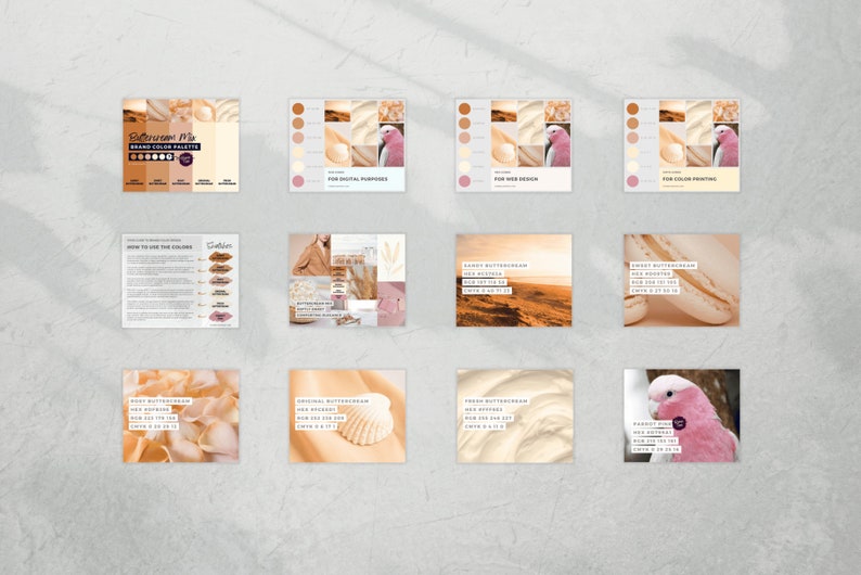 Buttercream Brand Color Palette: Canva Editable Template - Etsy