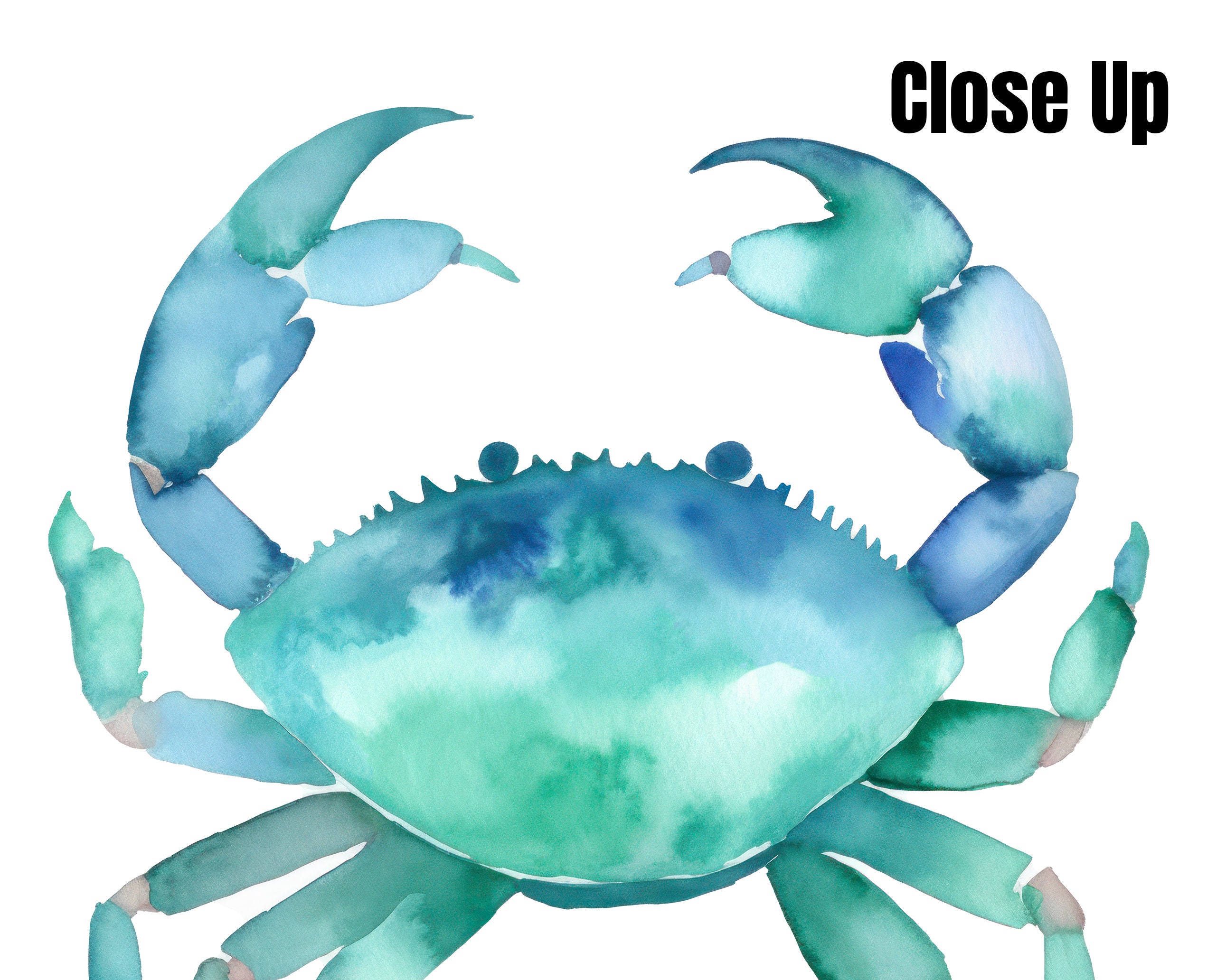 Crab Watercolor Print - Digital Download, Printable Wall Art, Ocean ...