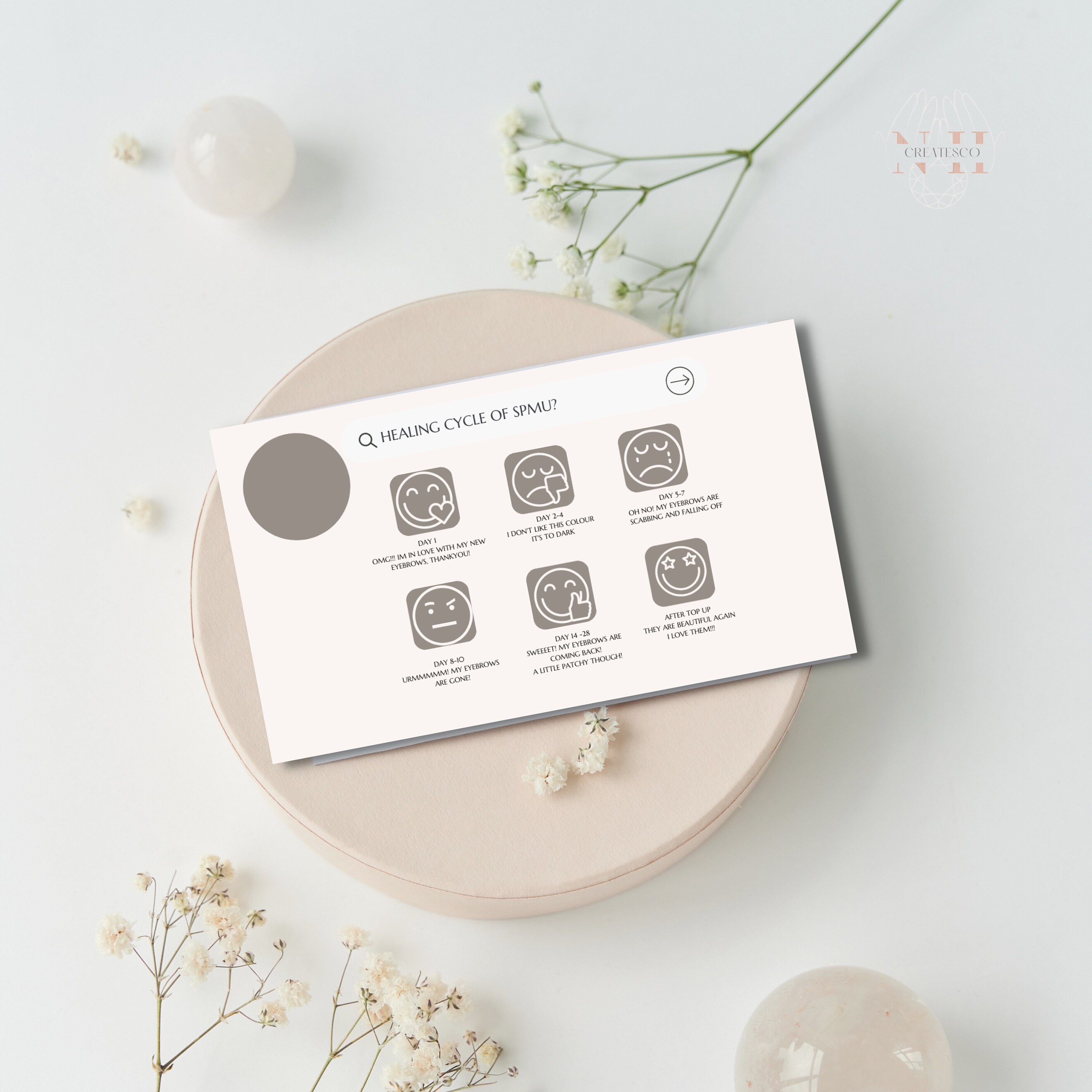 Life Cycle of PMU Cards Lash Lift Aftercare, Modern PMU Brow Aftercare ...